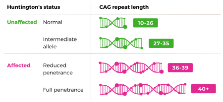 Huntington's Disease Association - A genetics guide